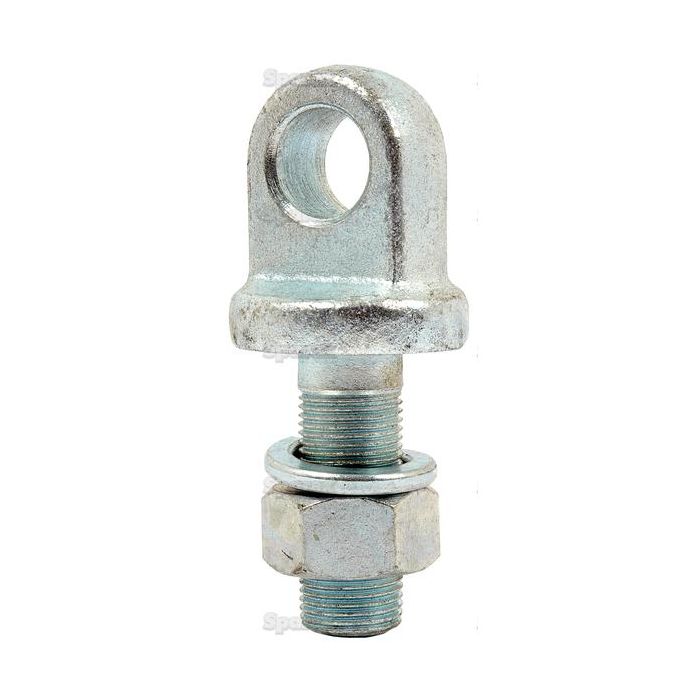 Oogbout met moer en ring, Oog Ø: 24mm.