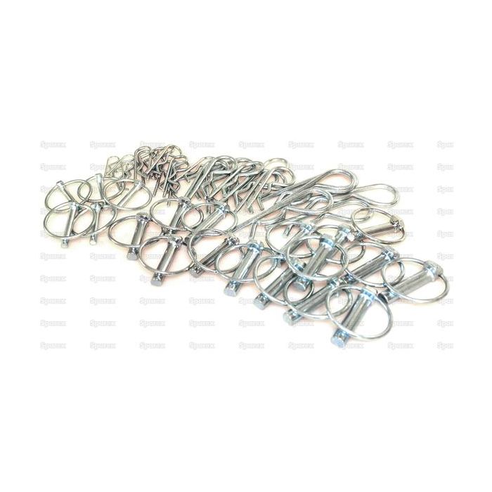 Borgveren en Haarspeldveren assortiment (50stuks Bag)